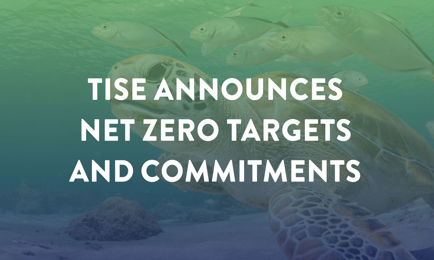 TISE announces Net Zero targets and commitments | TISE